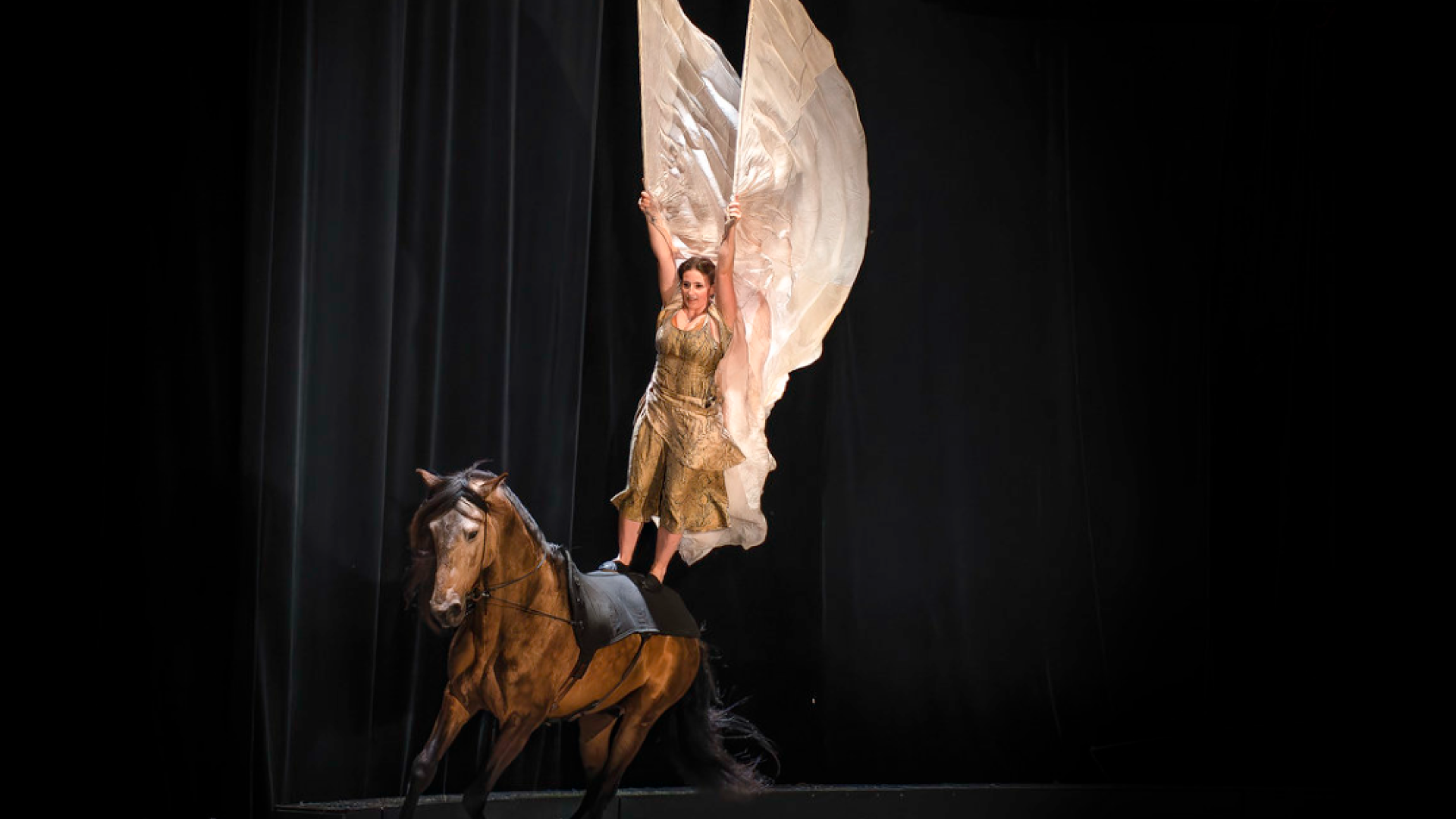 Compagnie Lawen | Le Plongeoir, Pôle national Cirque Le Mans